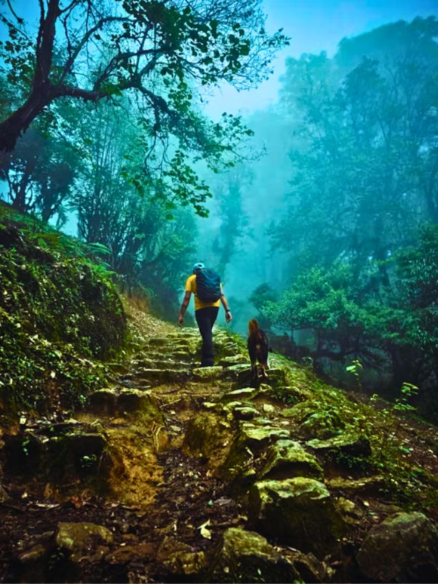 Best Things To Do In Pelling - TripFactory Blogs