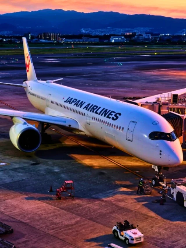Japan Airlines Offers Free Domestic Flights to International Tourists - TripFactory Blogs