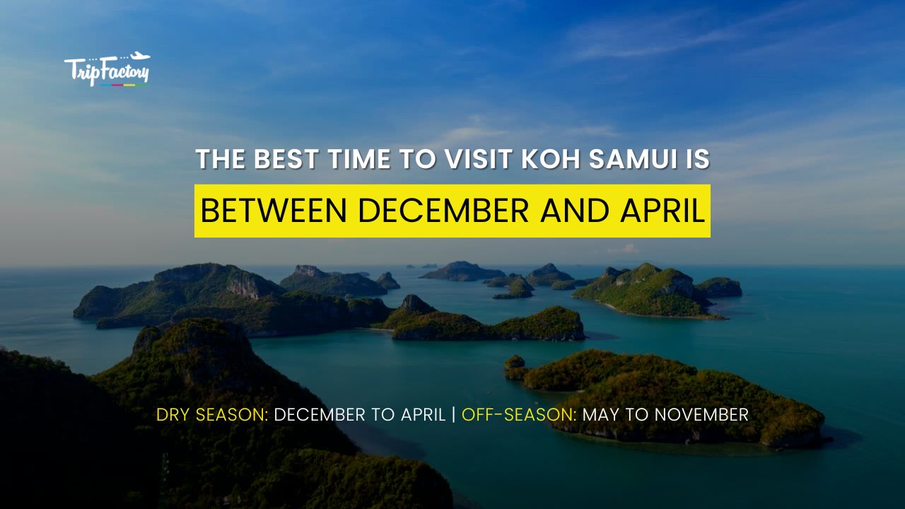 Best Time to Visit Koh Samui (Expert Advise)