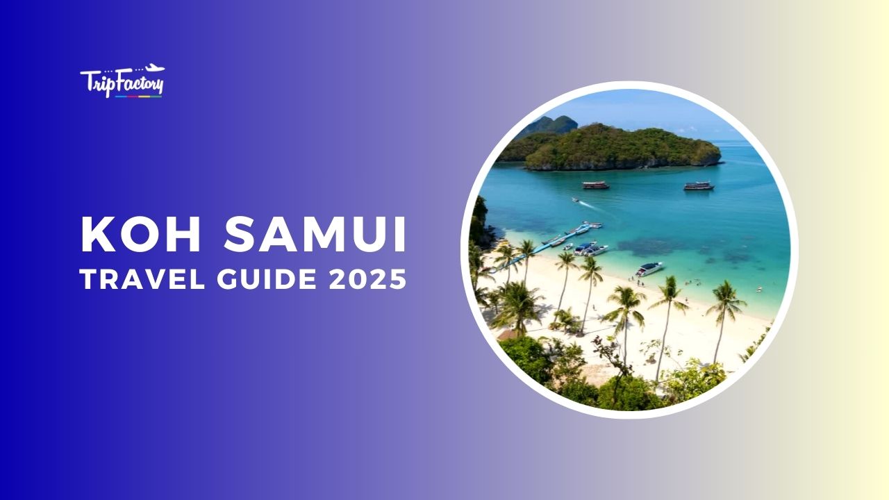 Koh Samui: What to Do, How to Reach & When to Visit